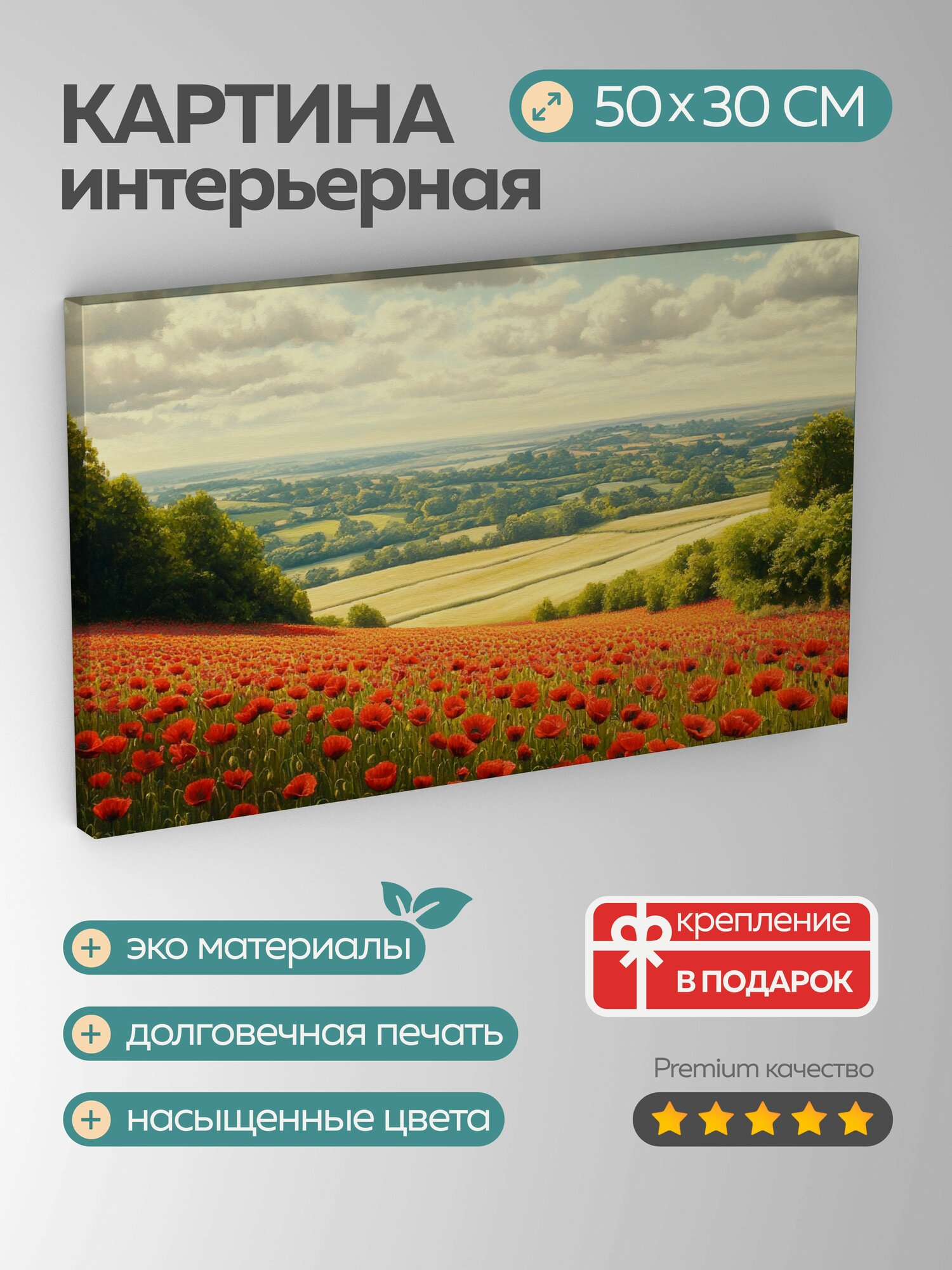 Картина на холсте интерьерная 50х30 см, сельская местность, маковые поля, яркие красные цветы, пышная зелень, контраст