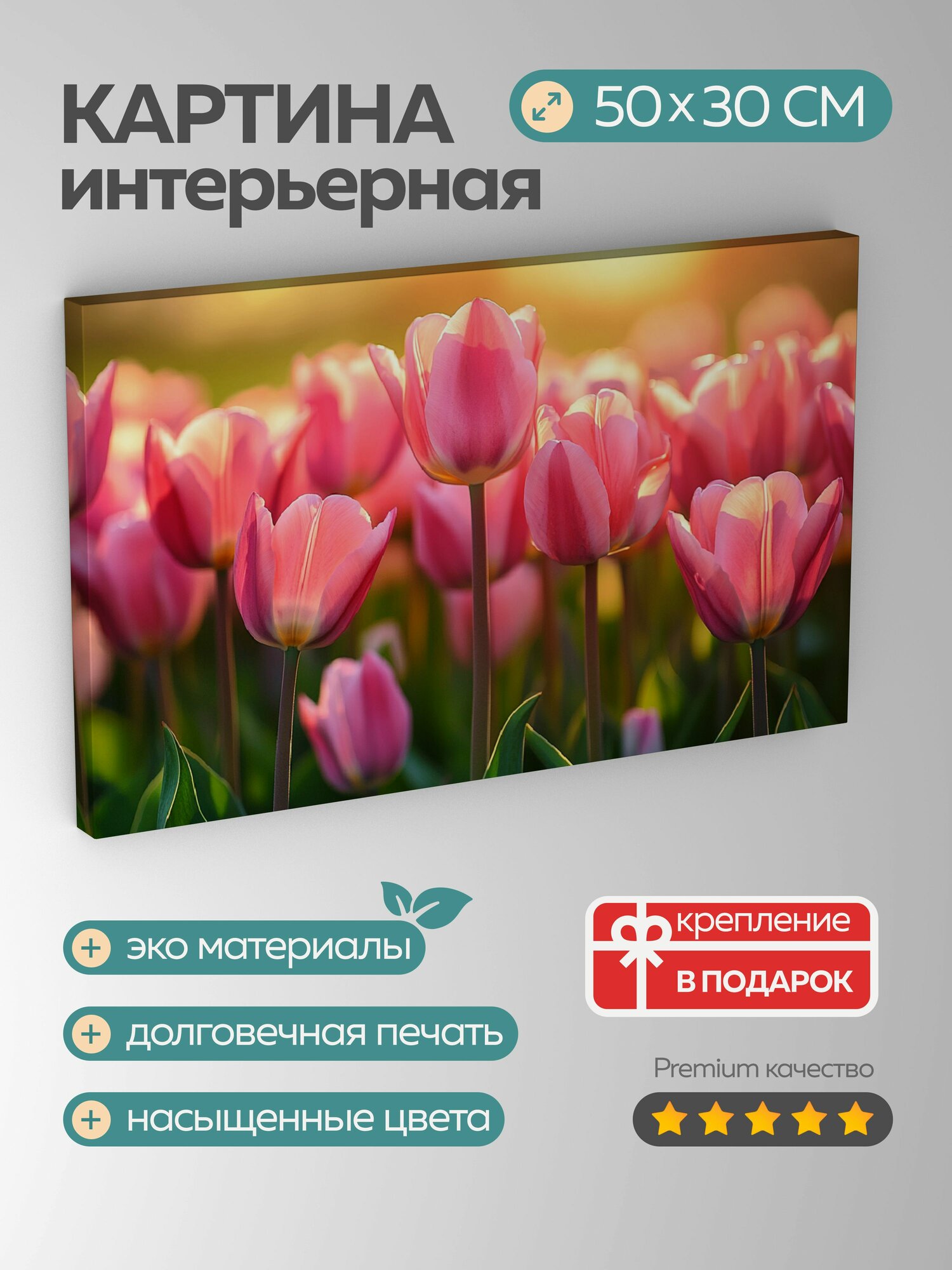 Картина на холсте интерьерная 50х30 см, тюльпаны, розовые, поле, солнце, свет, природа, красота, эйфория, лепестки, фон