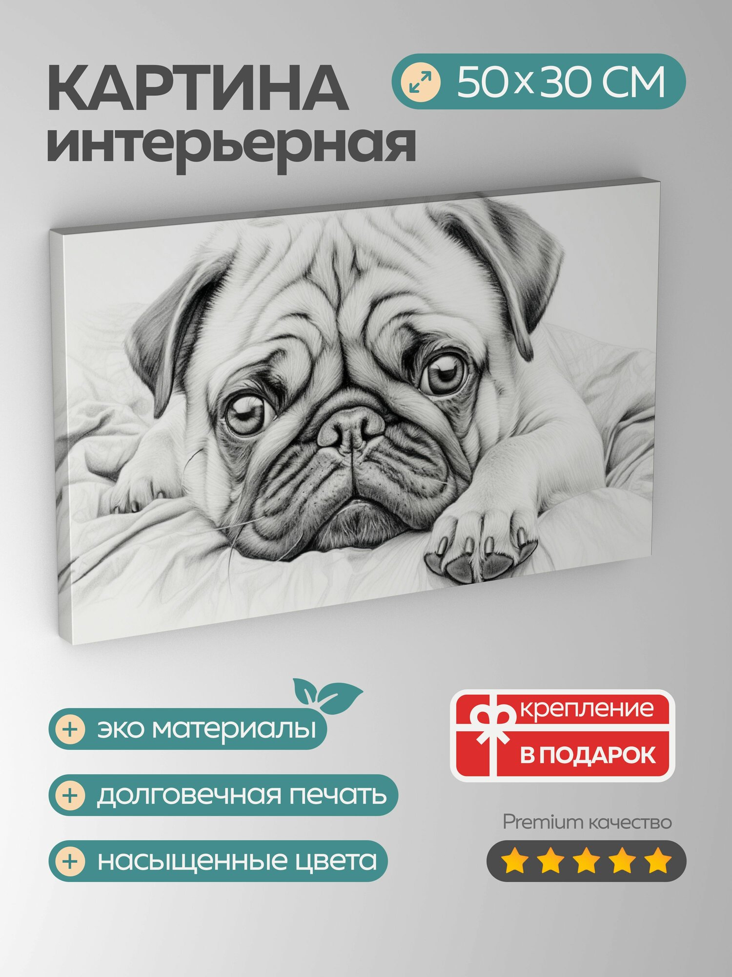 Картина на холсте интерьерная 50х30 см, карандашный набросок, морда мопса, детали морщинистой морды, очарование