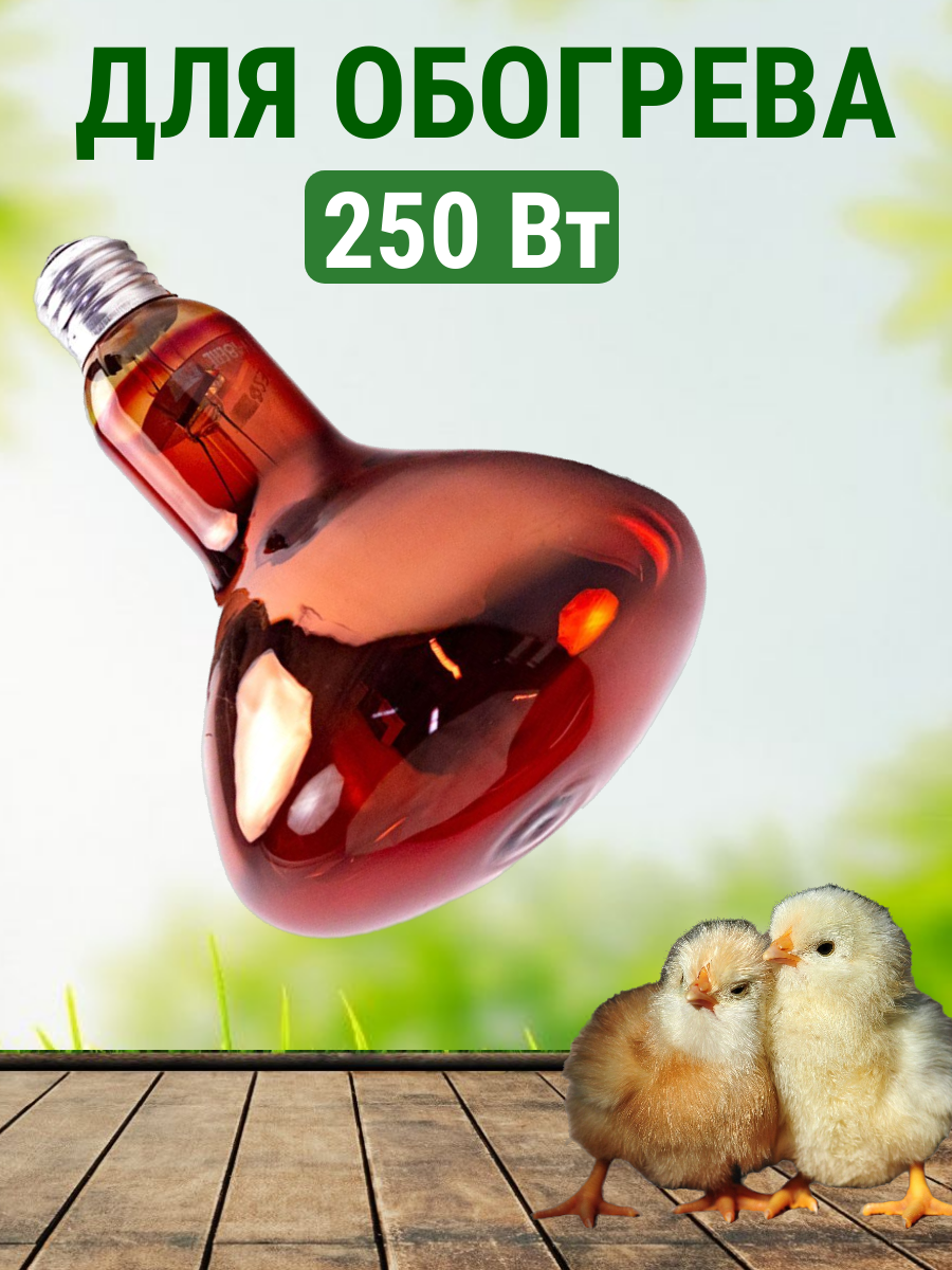 Лампа инфракрасная 250 Вт для обогрева цыплят, птиц и животных