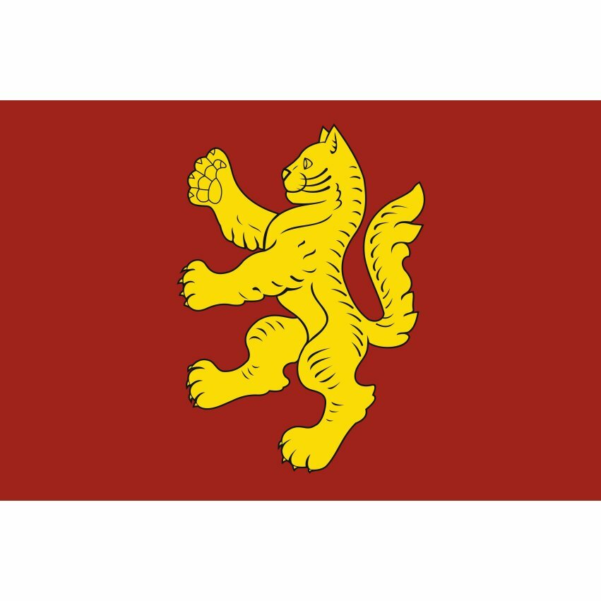 Флаг Котово 135x90 см.