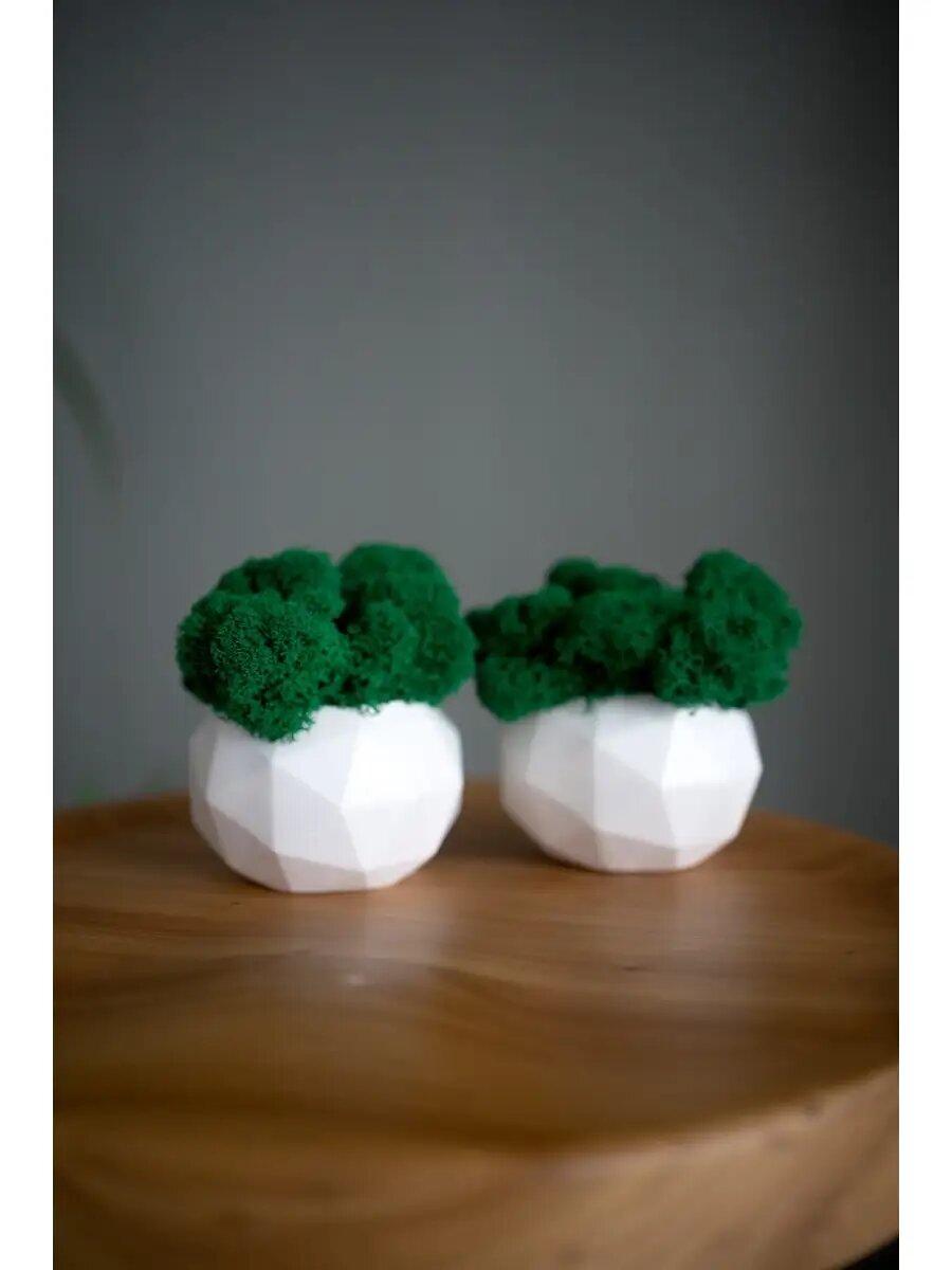 Набор кашпо StabFlora, гипс, для декора, с мхом, цвет зеленое яблоко, 2 шт.