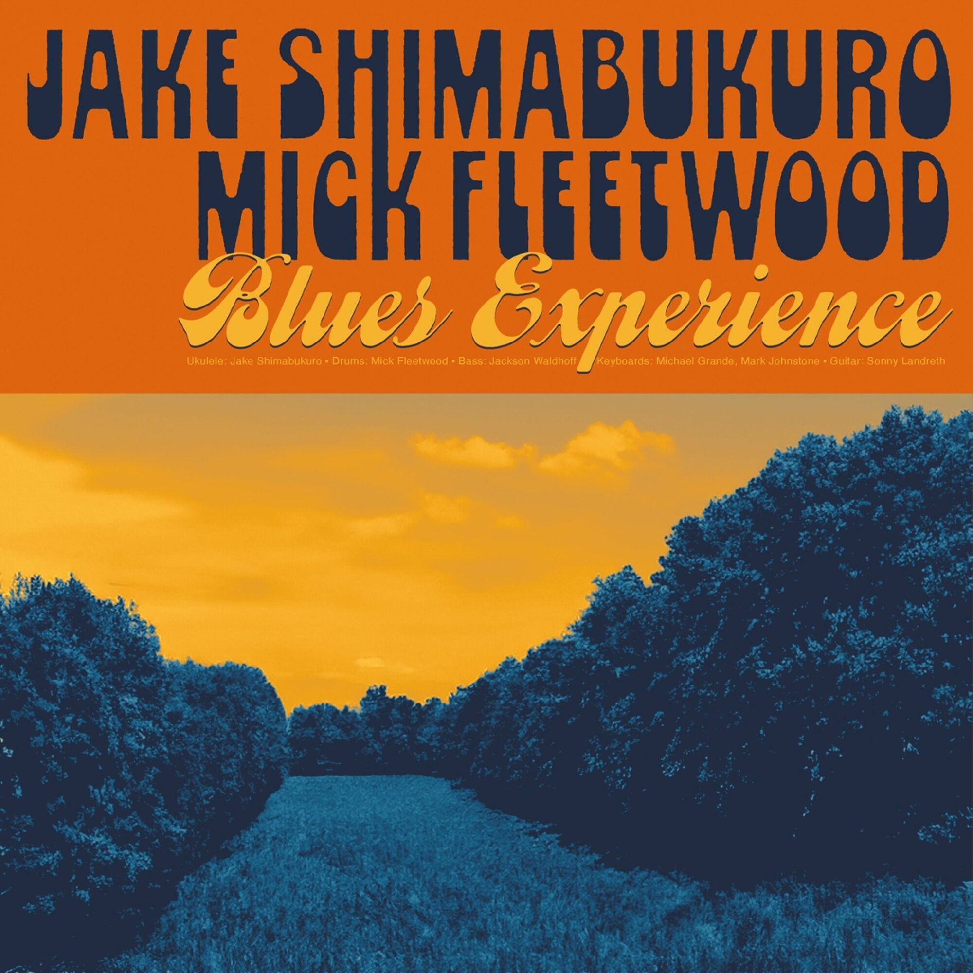 Виниловая пластинка Blues Experience (1 LP)