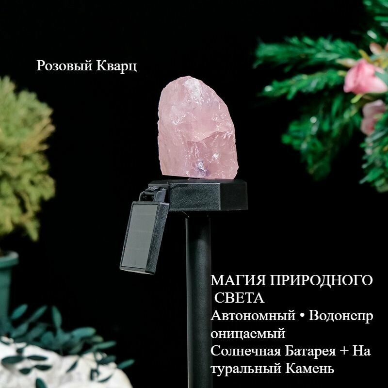 Ночник