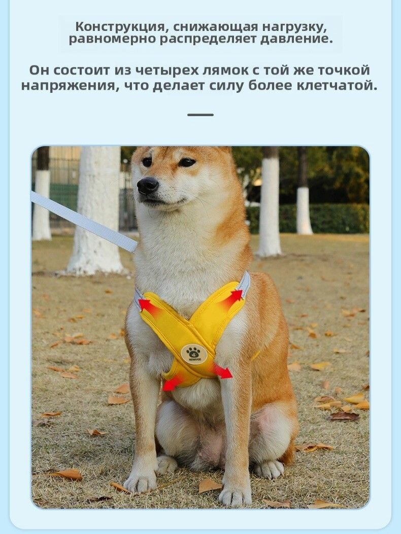 Шлейка — фото 1
