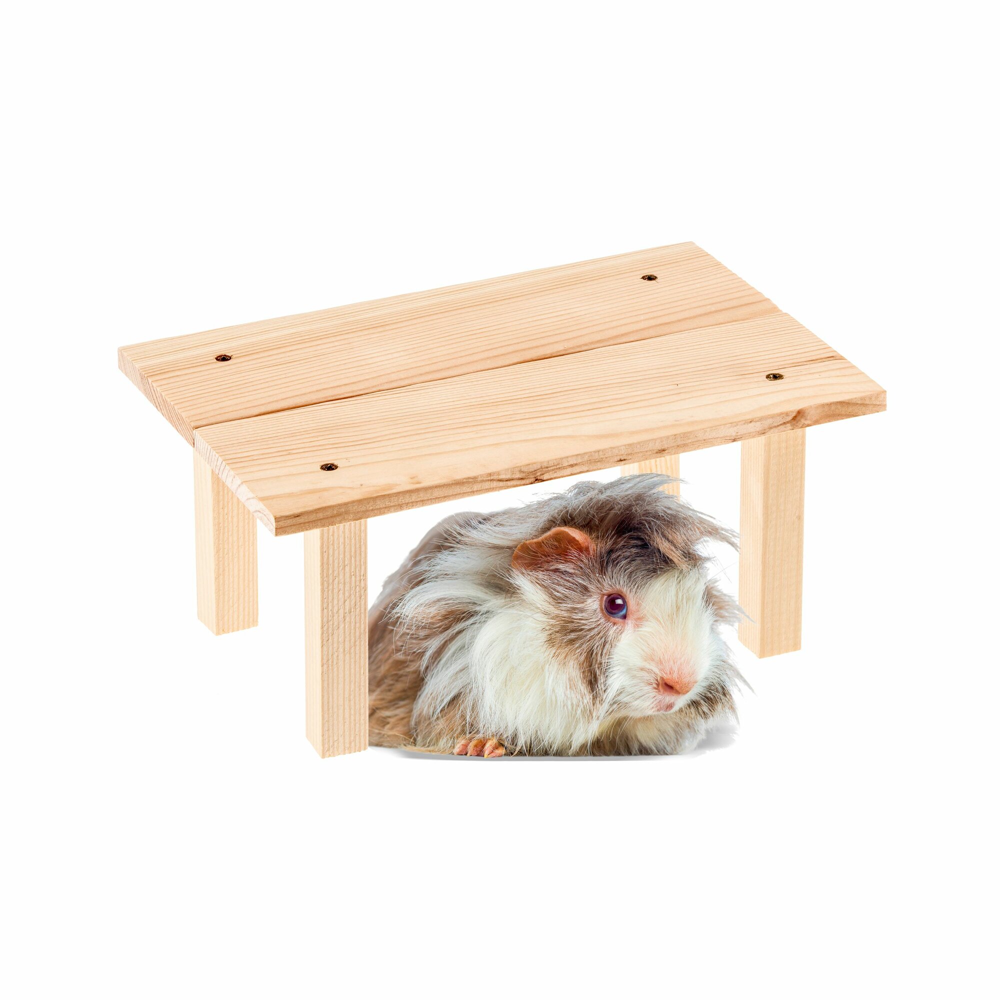 Столик из дерева ARCADE TABLE M для мелких грызунов, 26x17,5xh12 см