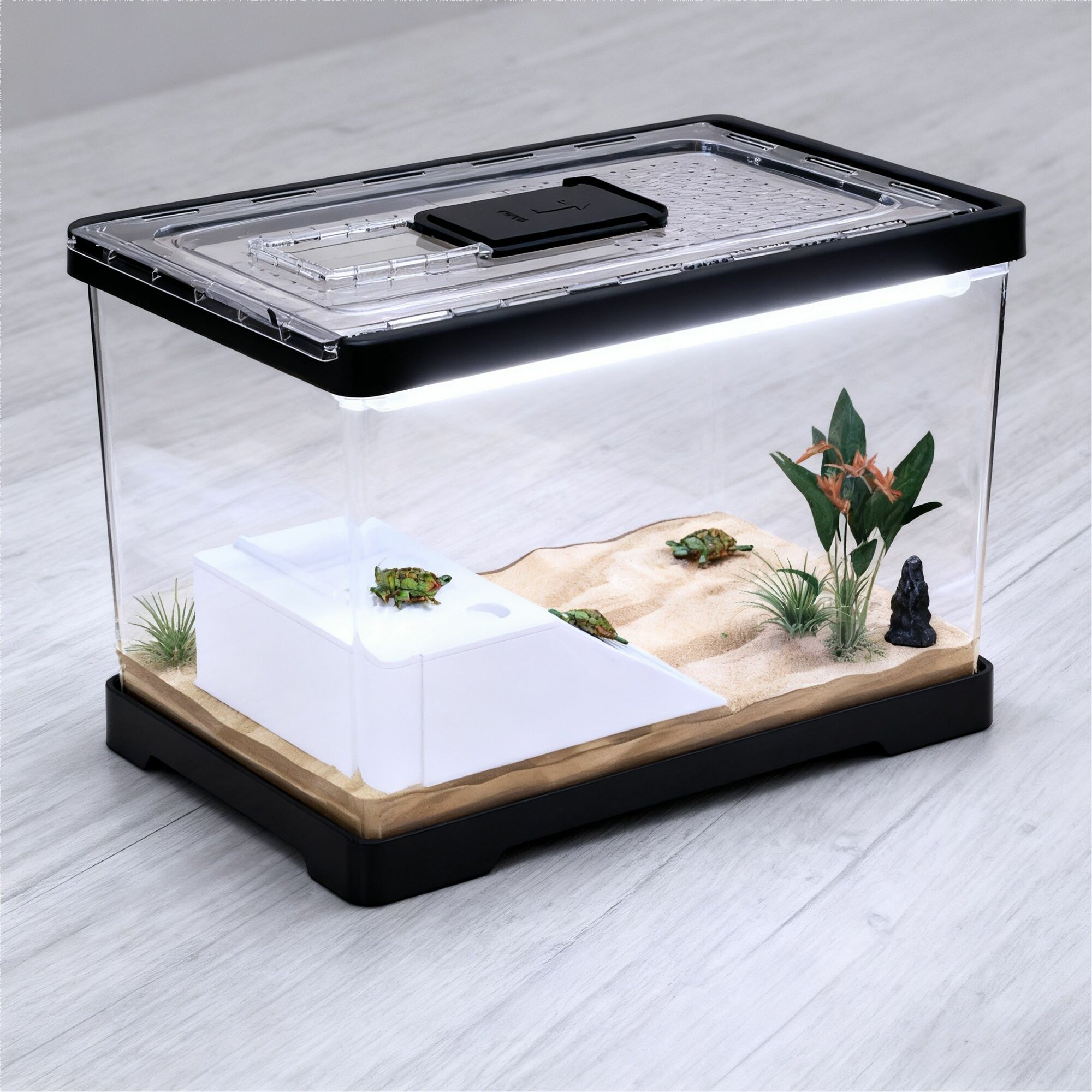 Террариум с крышкой для рептилий, пауков, улиток, богомолов, палочника, раков отшельников, грызунов, рыбок
