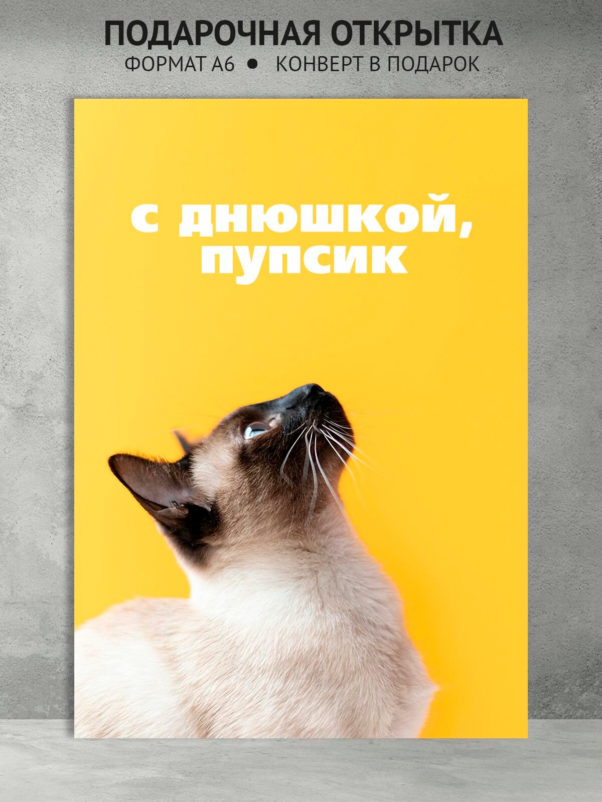 Подарочная открытка с уникальной иллюстрацией котик "С днюшкой, пупсик" с днем рождения, с юбилеем