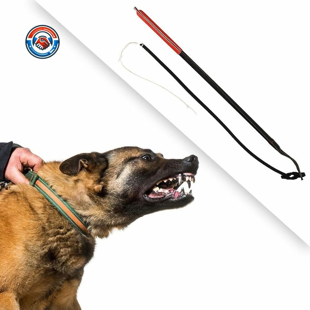 Интерактивный дрессировочный комплект для собак, складной шест с верёвкой и сменными насадками, тренировка послушания и игры на улице, лёгкий аксессуар для активных псов