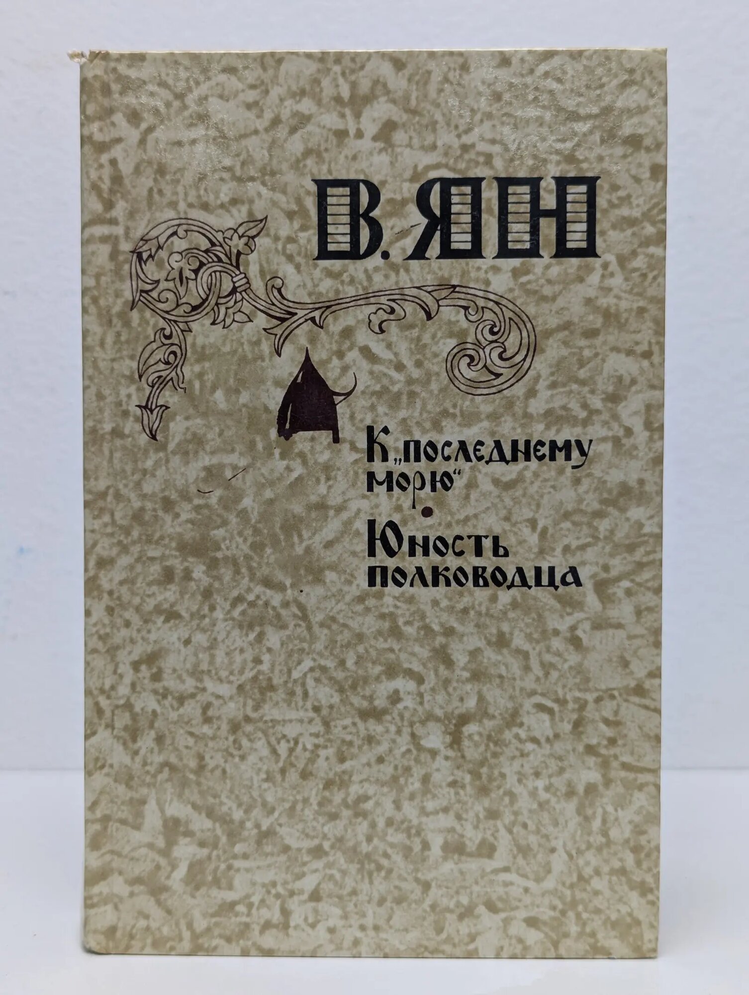 К последнему морю. Юность полководца Ян Василий Григорьевич 1981