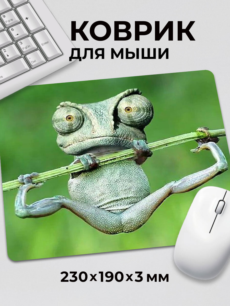 Коврик для мышки игровой Прикольный зеленый хамелеон