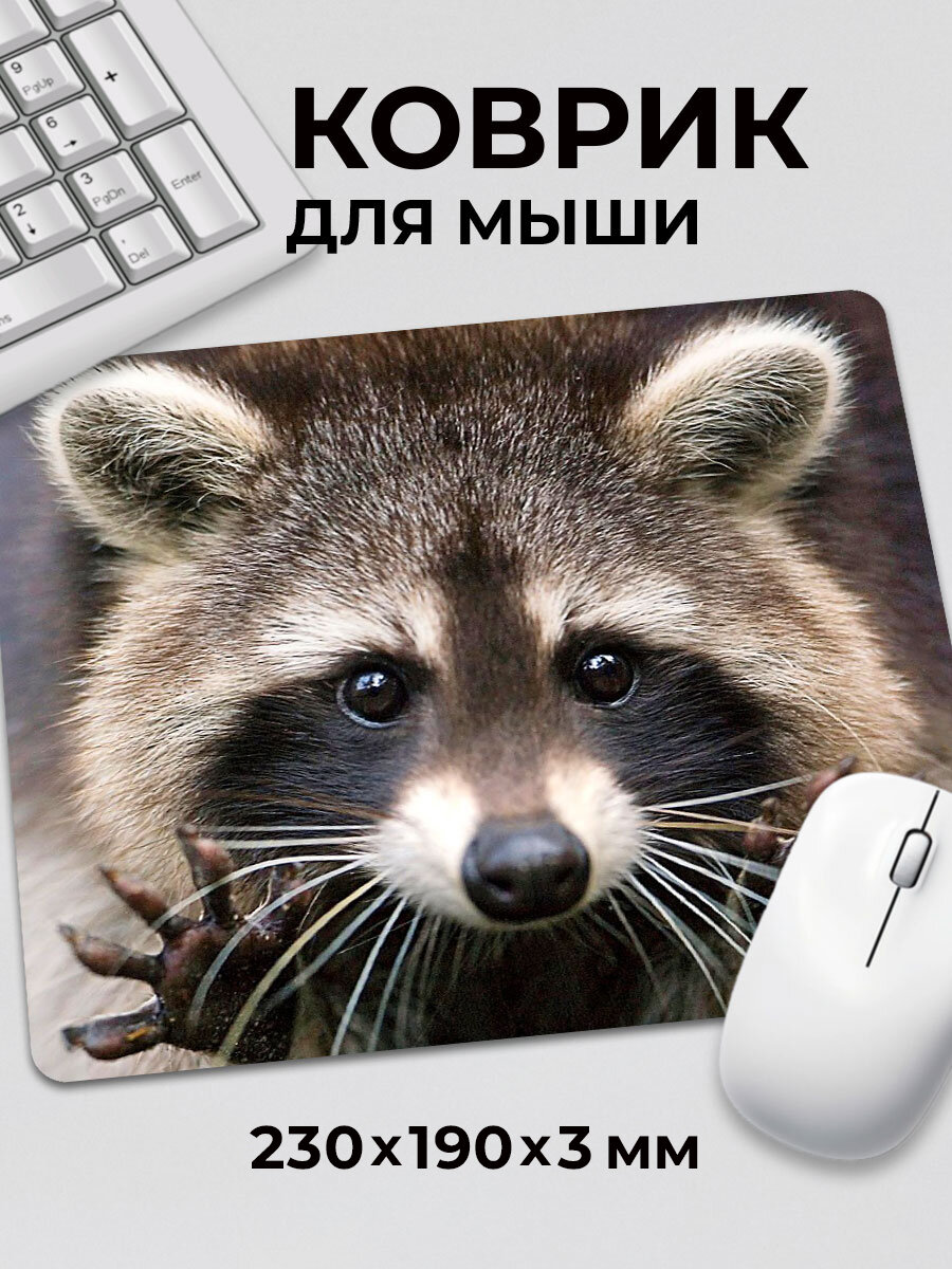 Коврик для мышки игровой маленький милый Енот полоскун