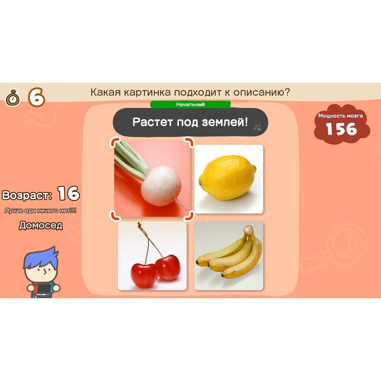 Игра Nintendo Big Brain Academy — фото 1