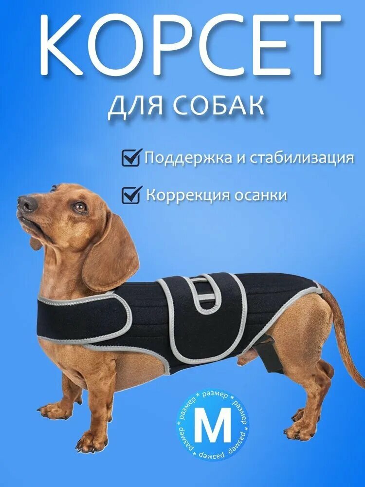 Корсет для спины собаки при болезни межпозвоночных дисков (IVDD). Восстановление и реабилитация домашних животных, обезболивающий пояс для спины. черное, размер M