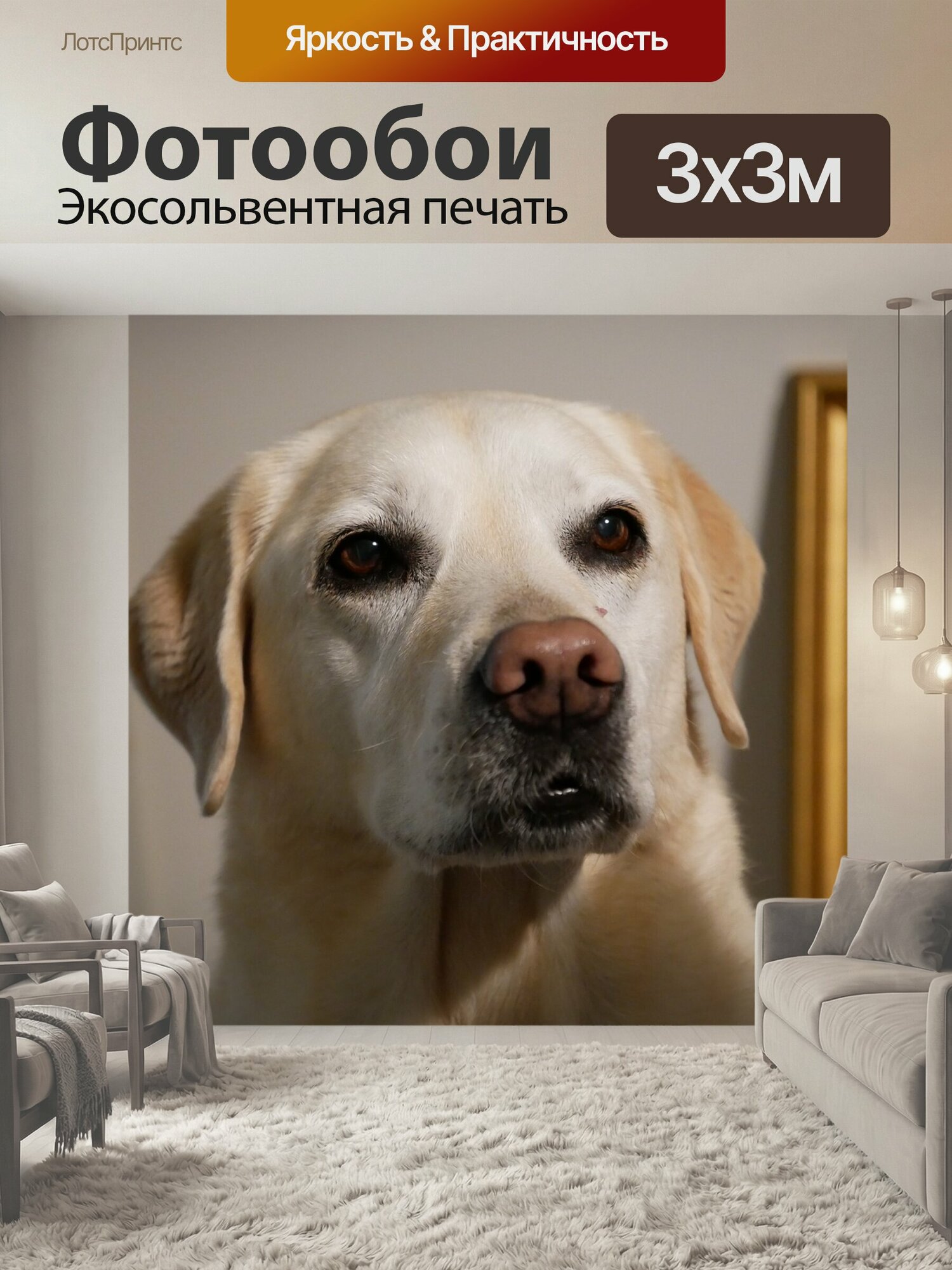 Фотообои "Лабрадор, собака, домашний питомец" 300x300 см. экосольвентная печать