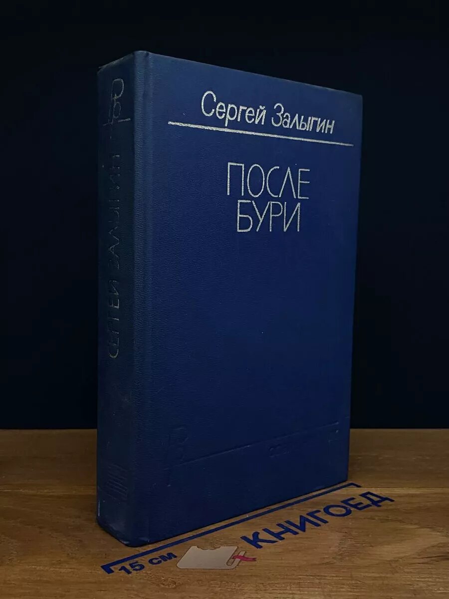 Книга. После бури 1986 (2040758518059)