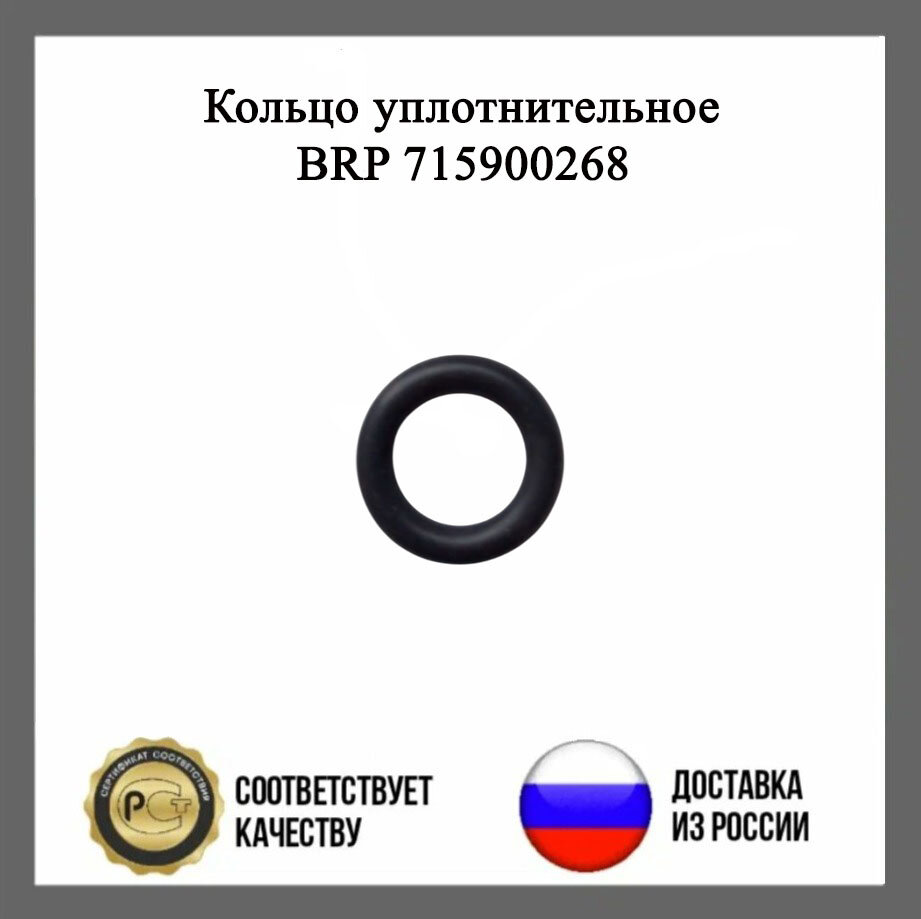 Кольцо уплотнительное BRP 715900268