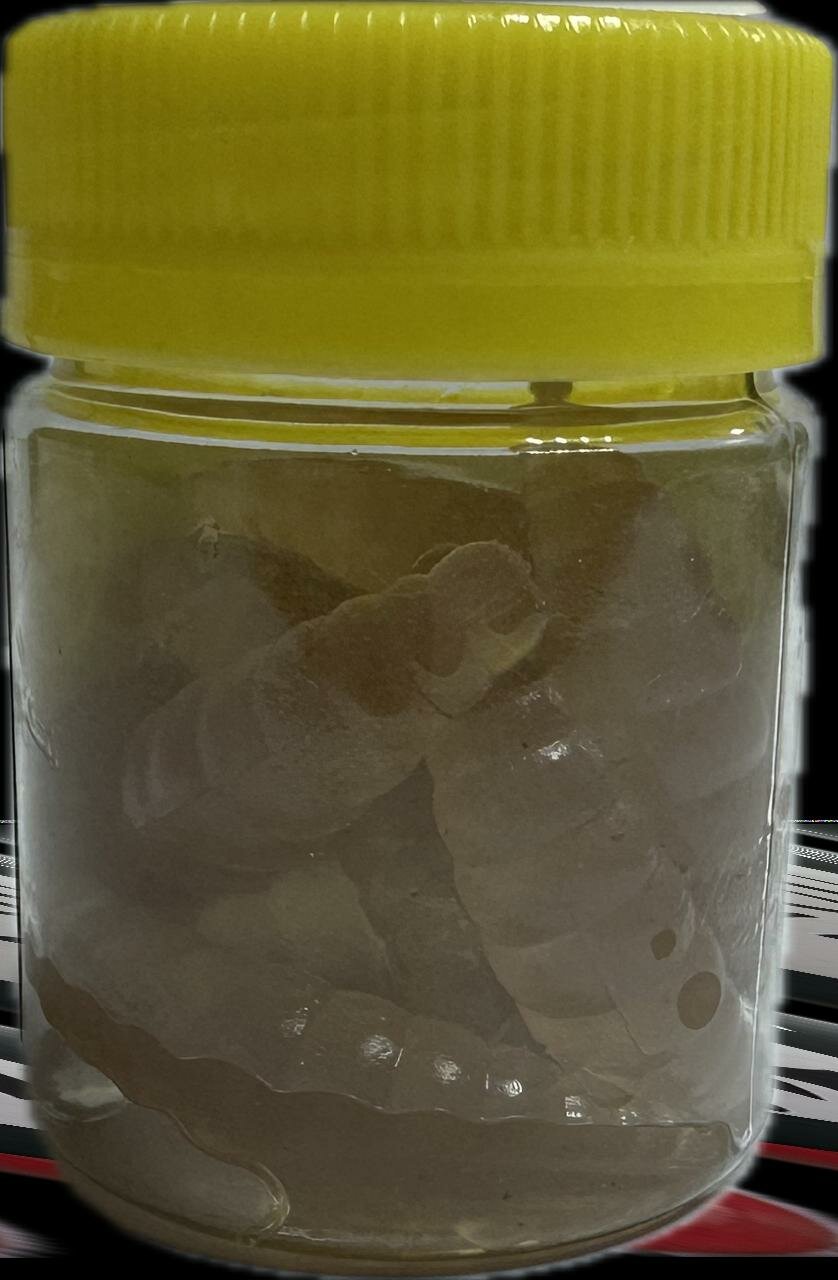 Приманка Cool Place Maggot 4см, цвет пиво, с ароматом сыра, 10 штук