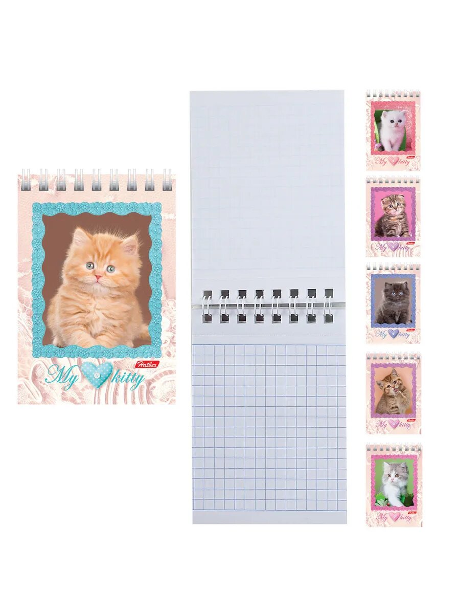 Блокнот на кольцах