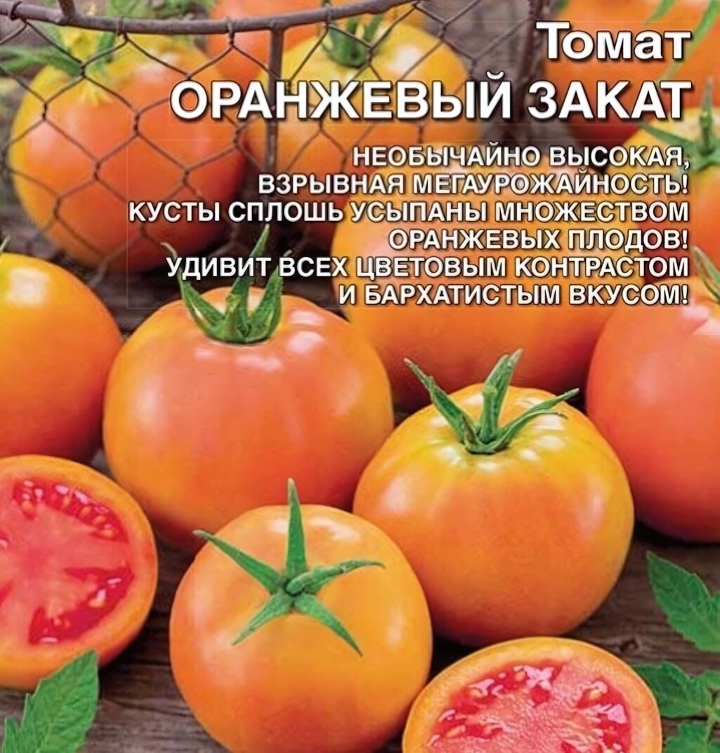 Семена томата 'Оранжевый закат', среднеранний сорт, 80-90 г, для теплиц