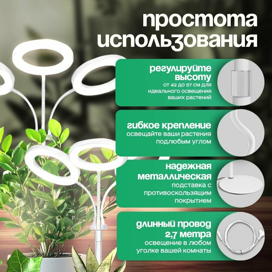 Мини-тепличка — фото 1