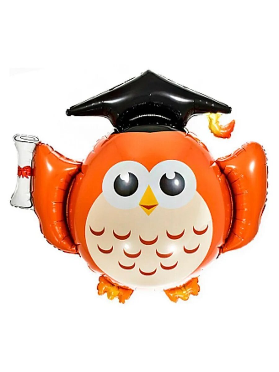 Умная сова в упаковке, фольгированный шар (31"/79 см ) 1 шт. / Веселуха
