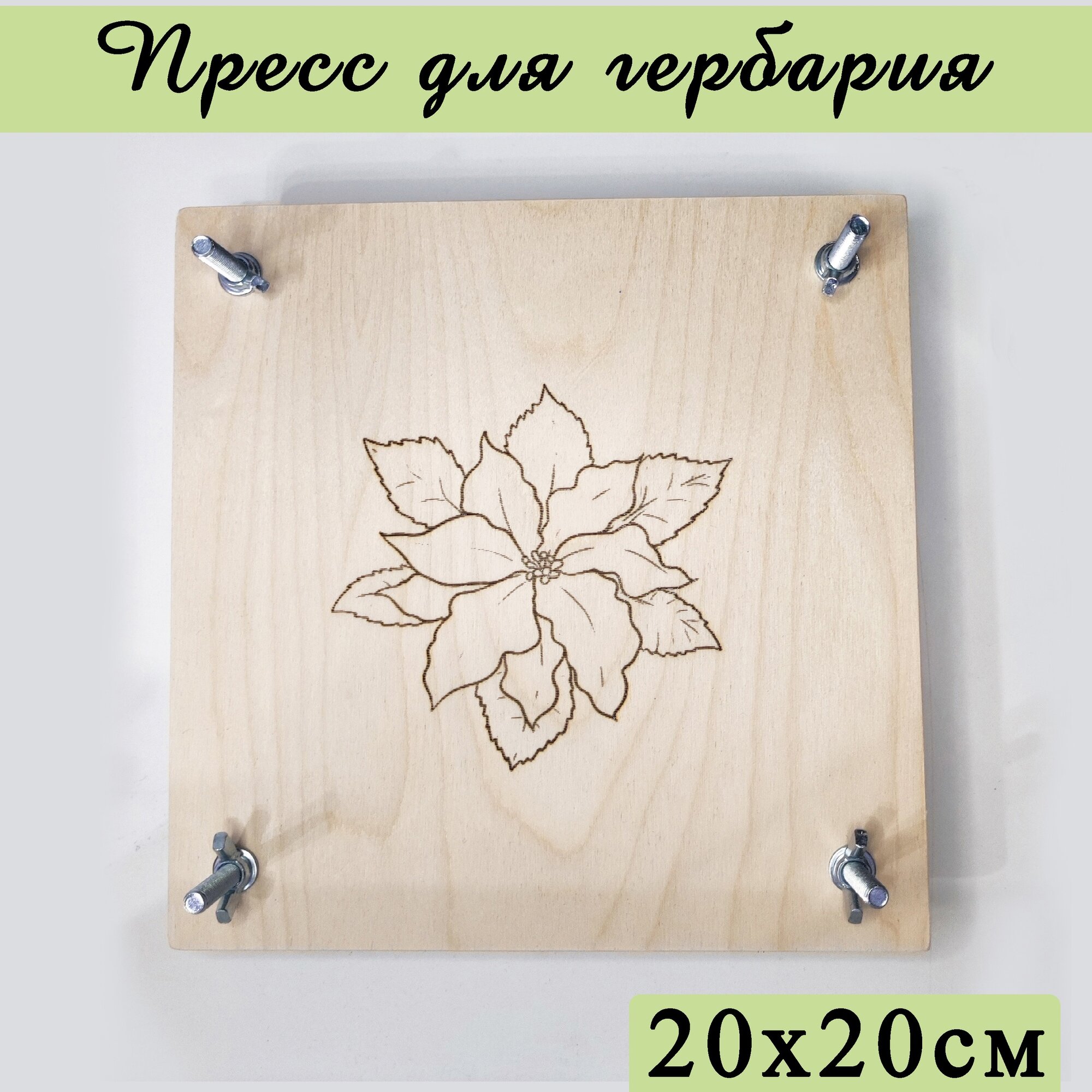 Пресс для гербария