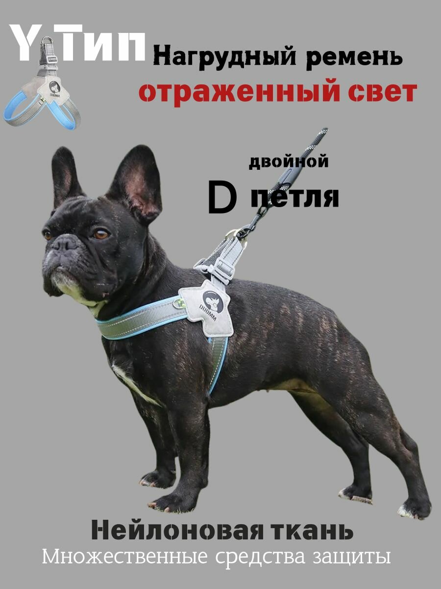 Y-образный поводок антирывковый, шлейка для собак, для французских бульдогов, мелких и средних пород синий размер L