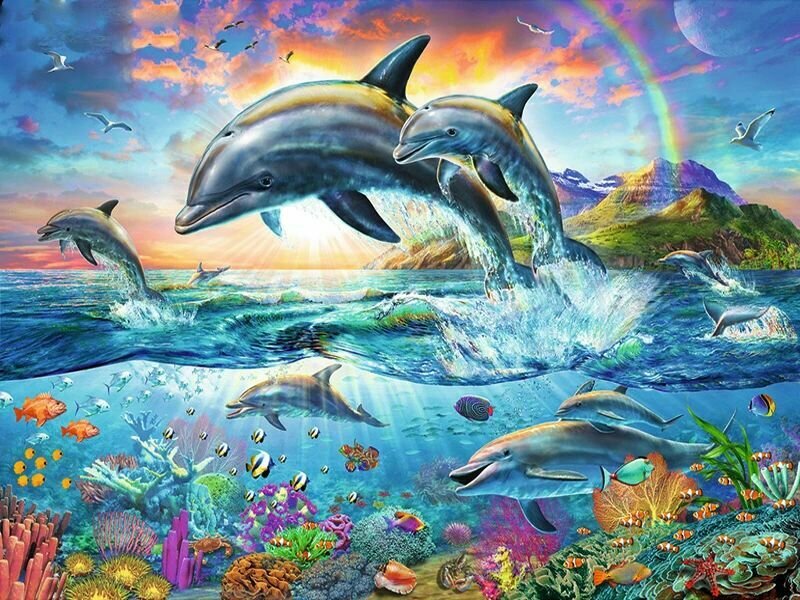 Алмазная картина "дельфин" алмазная огранка 40х50 см,40X50CM, белый