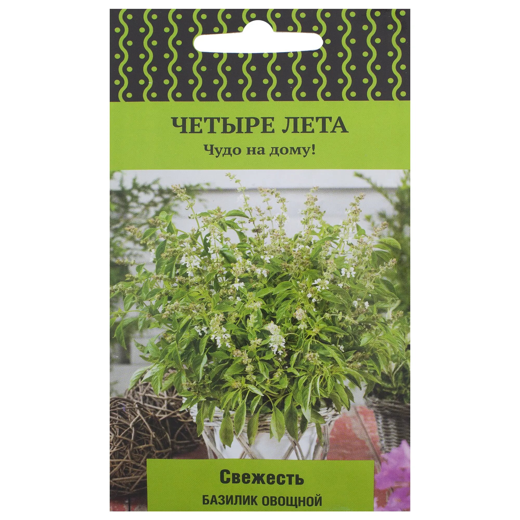 Семена базилик овощной Свежестьароматный зелёный куст для салатов, блюд и заготовок
