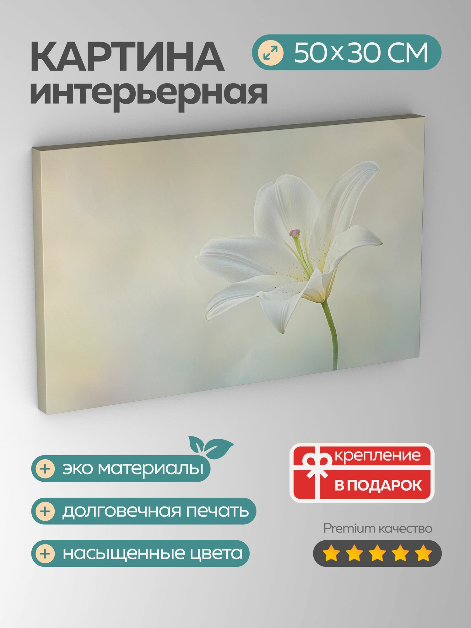 Картина на холсте интерьерная 50х30 см, лилия, цветок, детали, мягкий фон, природная красота, высококачественная фотогр
