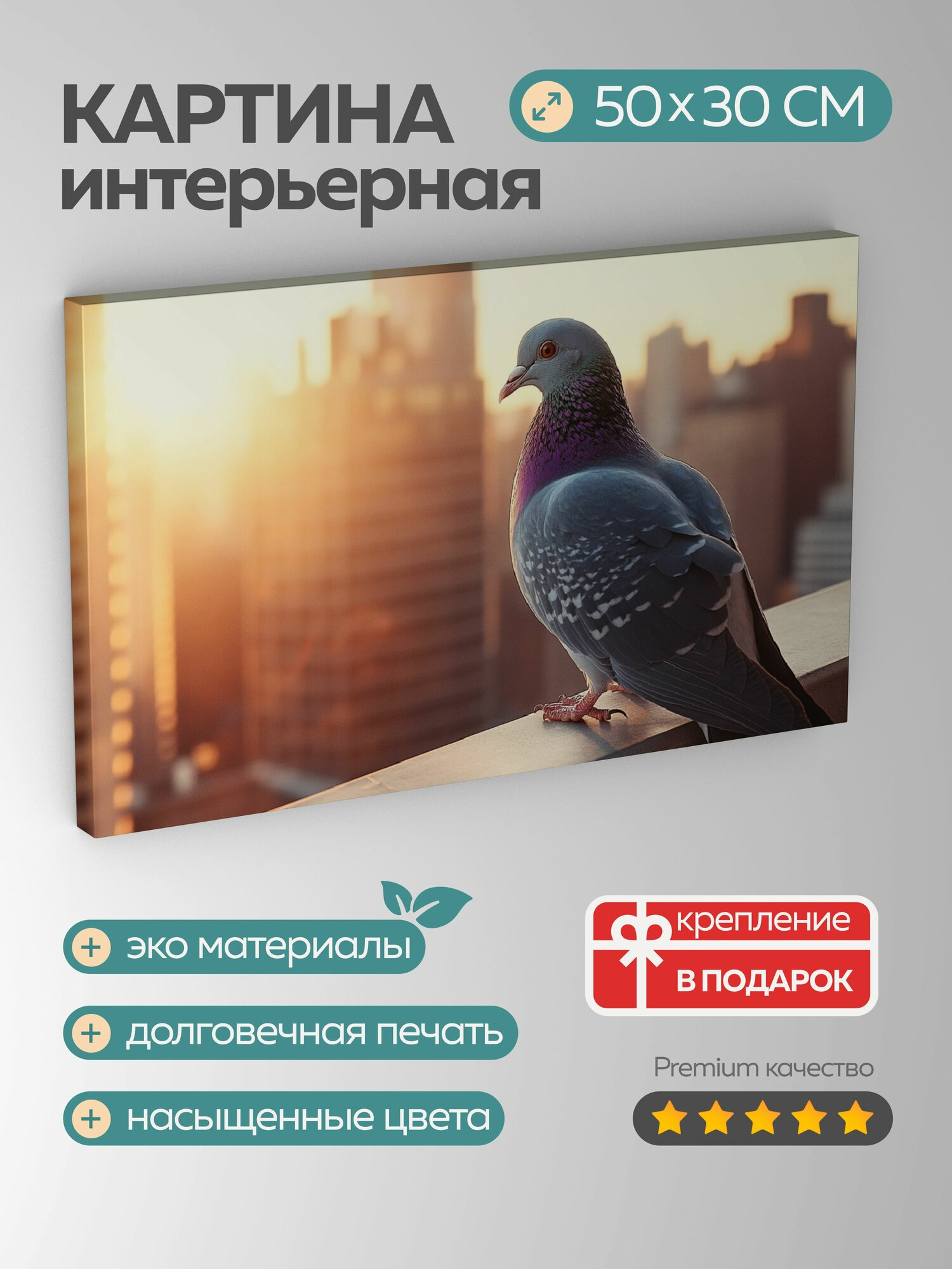 Картина на холсте интерьерная 50х30 см, голубь, балкон, солнце, городской пейзаж, оперение, взгляд, сосуществование