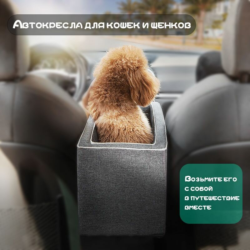 Автокресла для кошек и щенков, Безопасно и комфортно, Возьмите его с собой в путешествие вместе