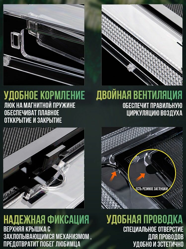Террариум с крышкой для геккона эублефа