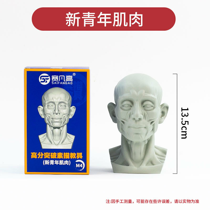Модель головы Милонга, голова Тэо, гипсовая модель головы, учебное пособие, реалистичная голова, мини-версия, гипсовая модель для эскизов