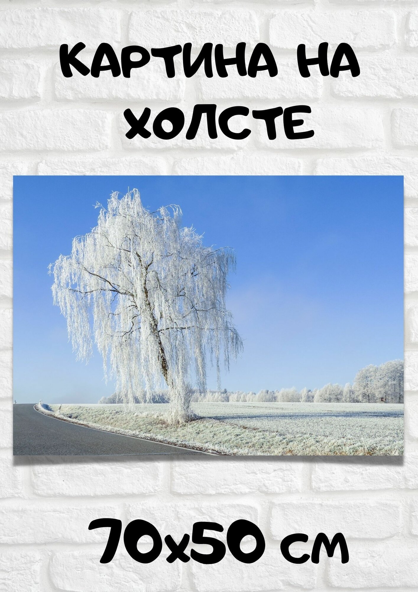 Картина снежная дорога / Фотокартина с заснеженной дорогой