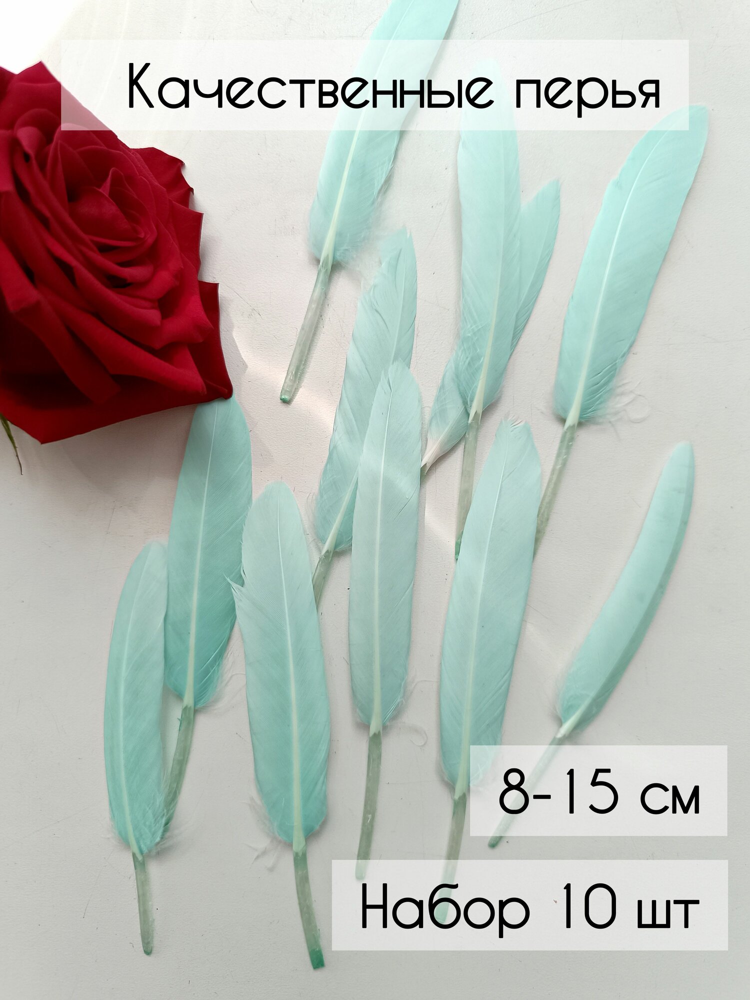 Гусиные перья. 10 шт. 8-15 см. Мята. Для декора и рукоделия. ПероМарго