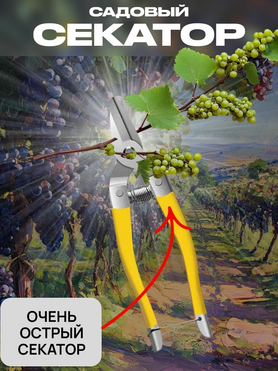 Секатор