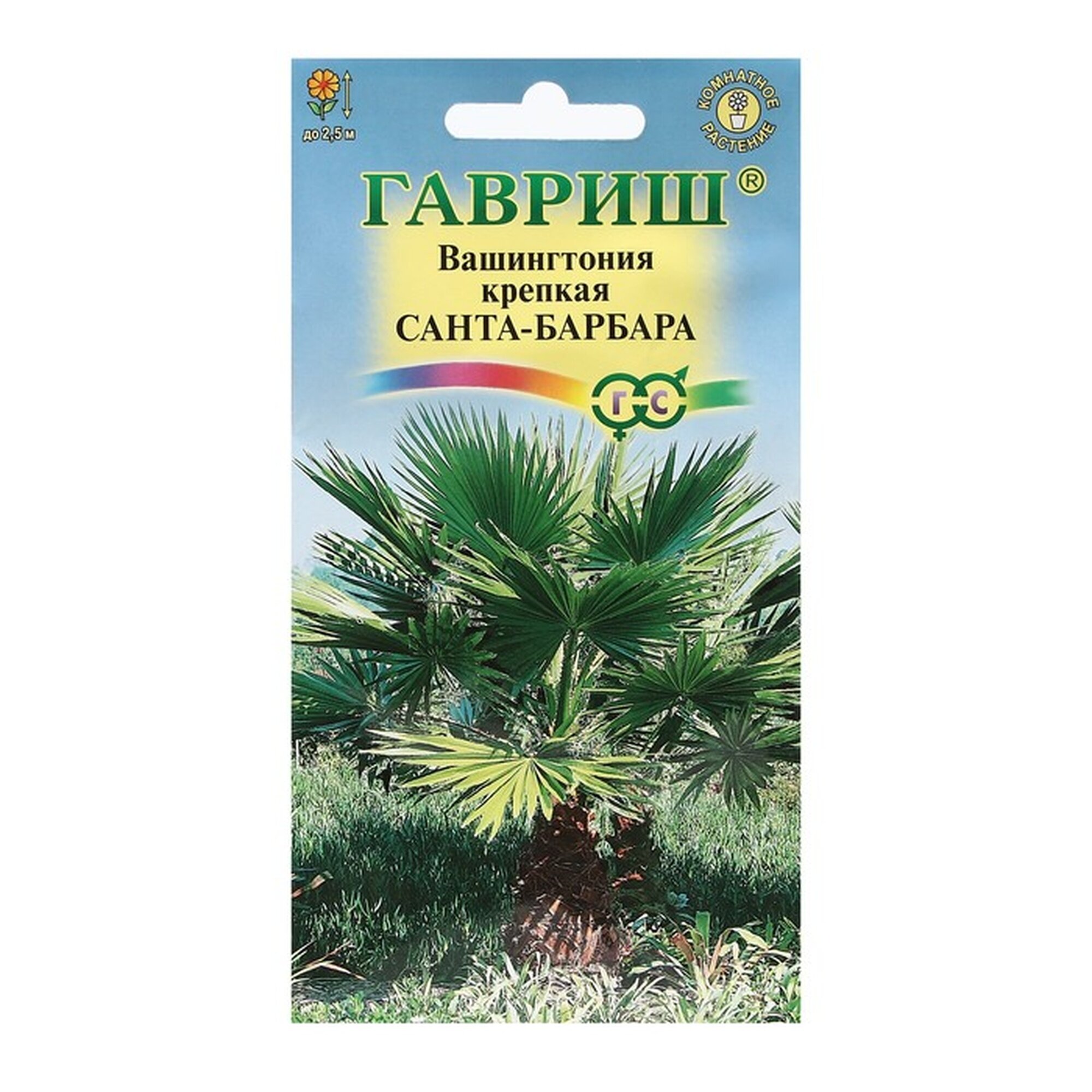 Семена комнатных цветов Вашингтония "Санта-Барбара", ц/п, 3 шт.