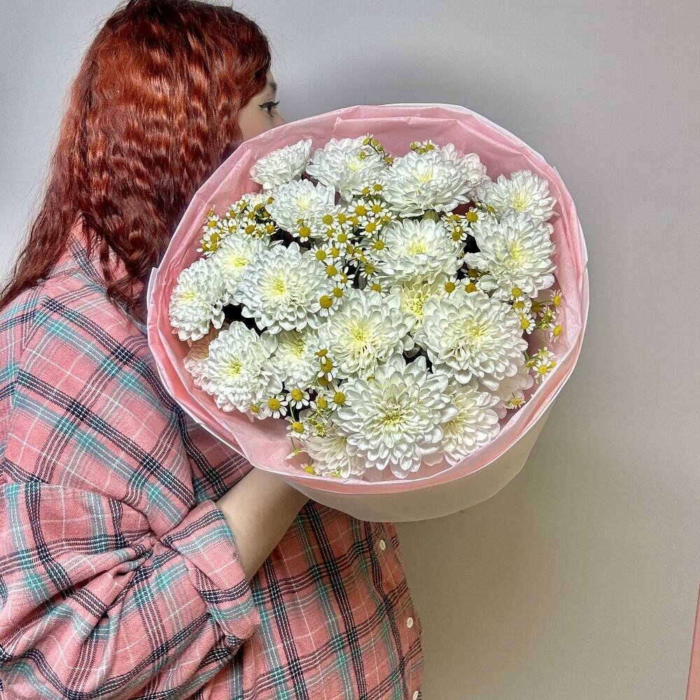 Хризантемы кустовые с ромашками