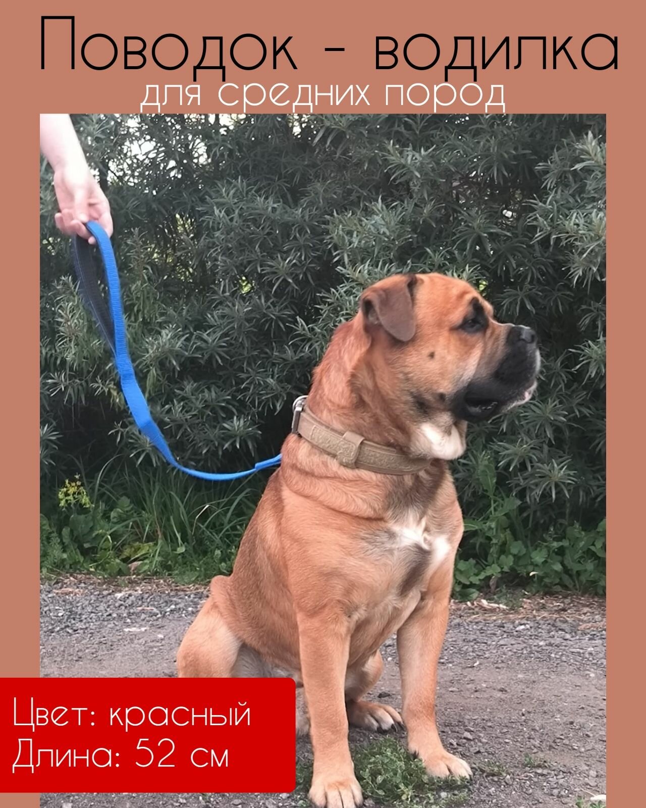 Поводок водилка для собак средних пород красный для дрессировки и прогулок