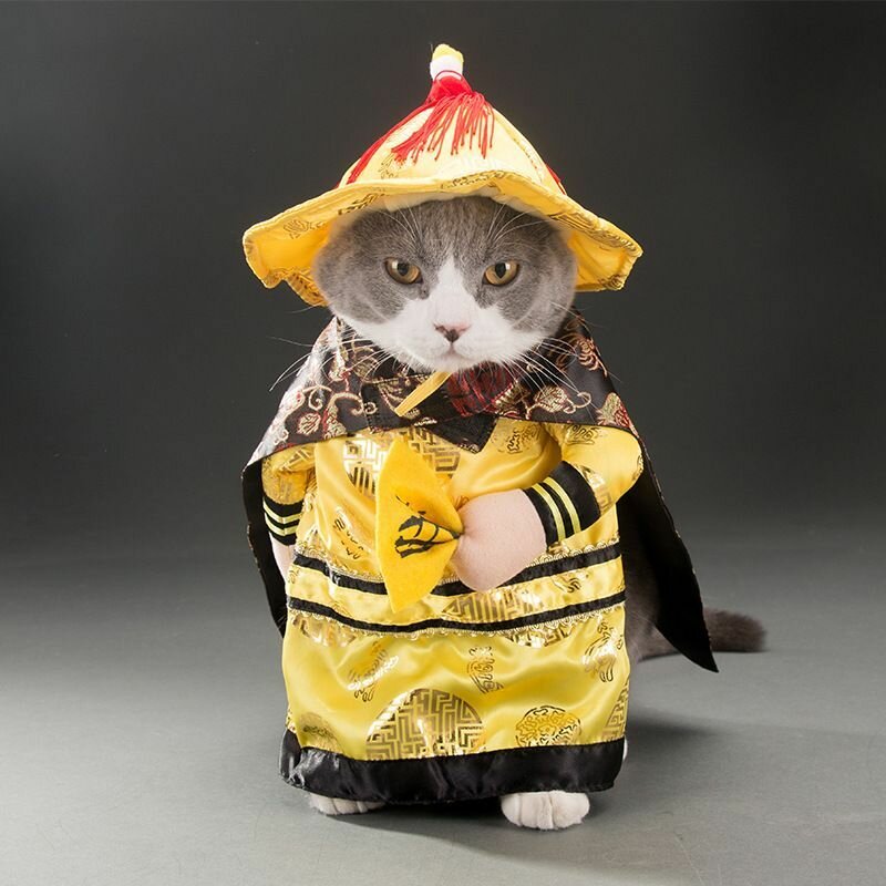 Смешные костюмы для животных, костюмы для кошек и собак
