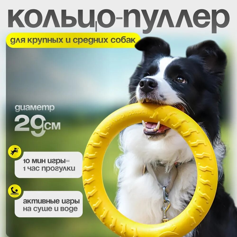 Кольцо-пуллер для собак, 29 см, игрушка для собак