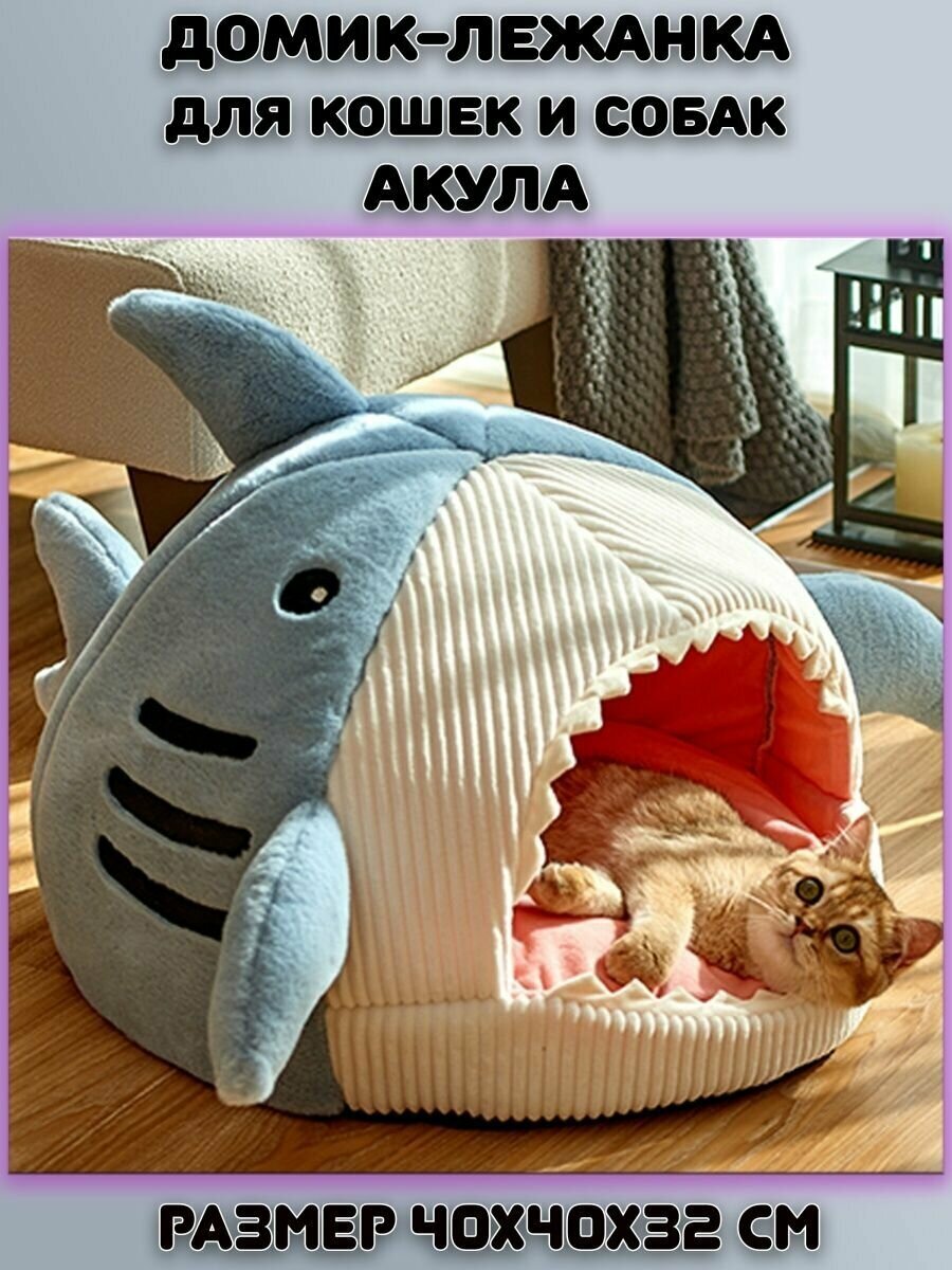 Домик лежанка для кошки, собак, животных Акула