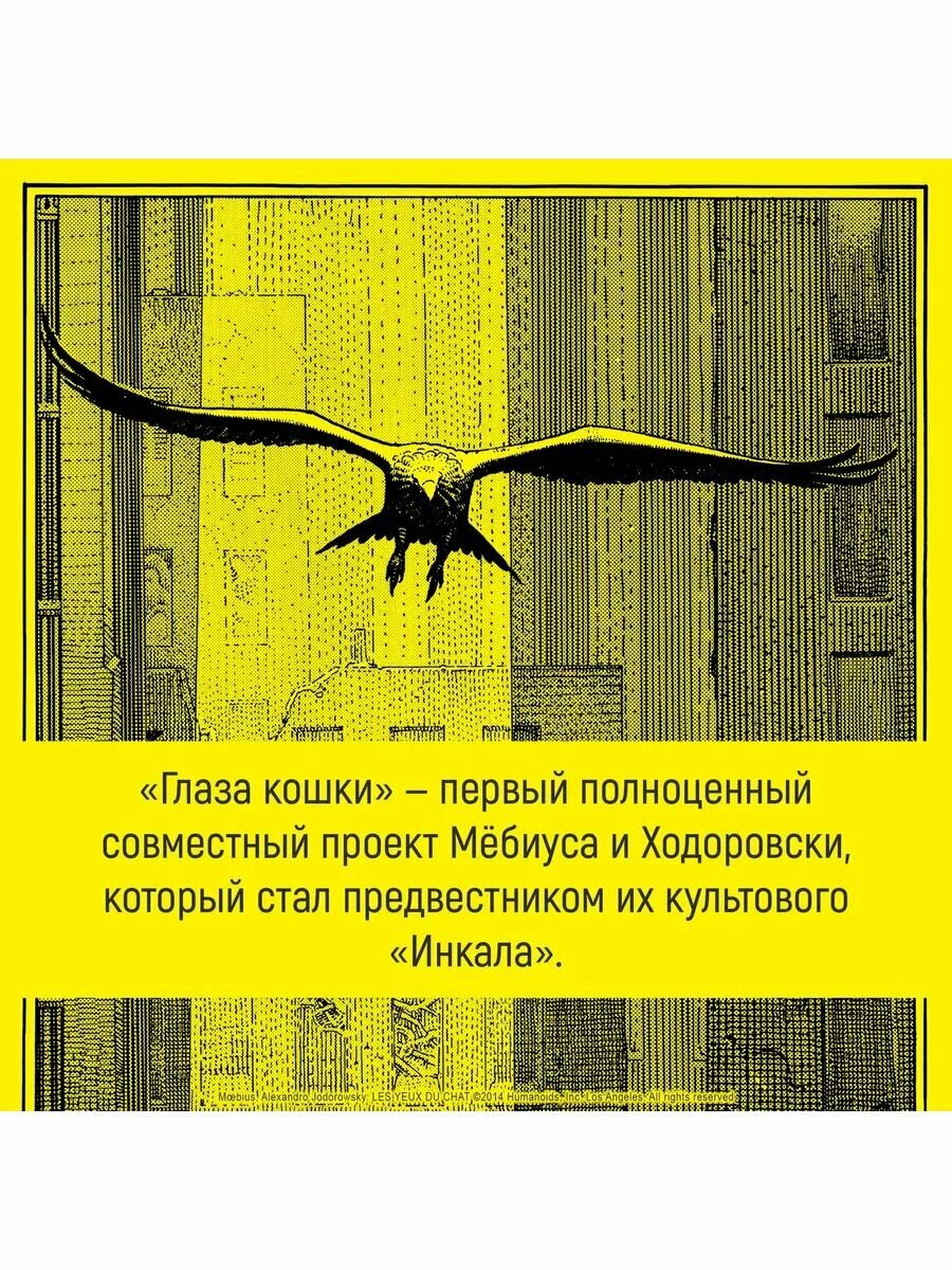Глаза кошки — фото 1