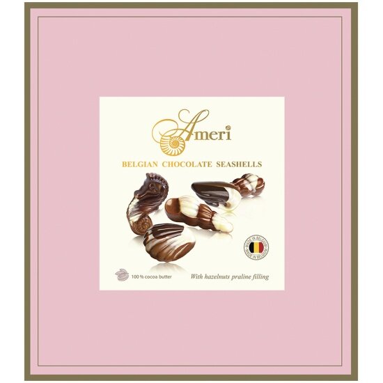 Конфеты шоколадные Ameri с начинкой пралине 250г