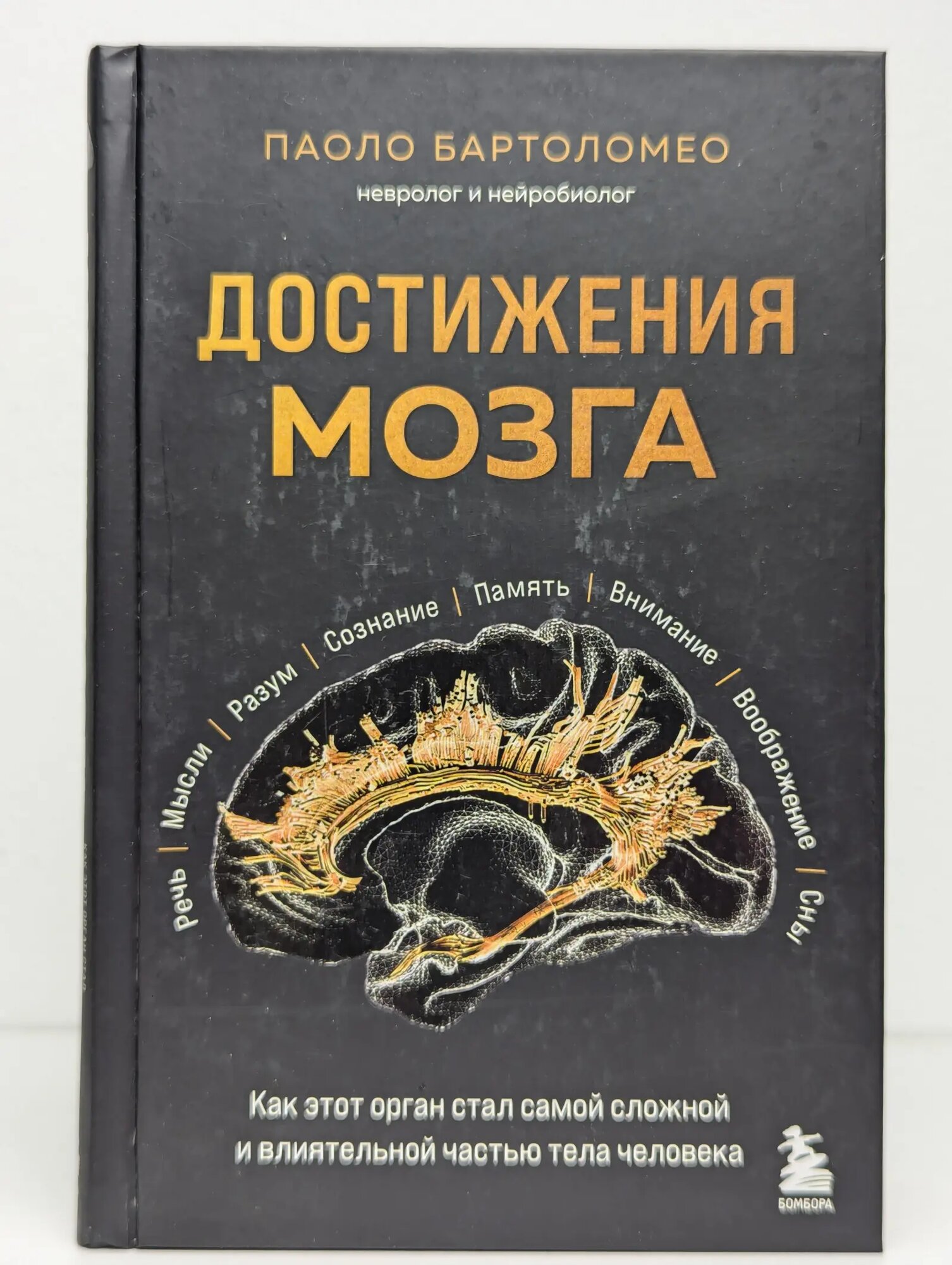 Достижения мозга Бартоломео Паоло 2024