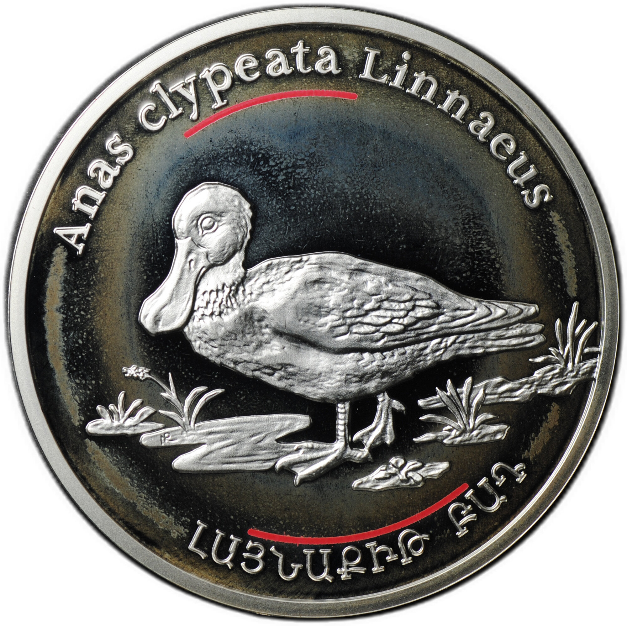 Монета 100 драмов 2007 Северный лопатник Армения