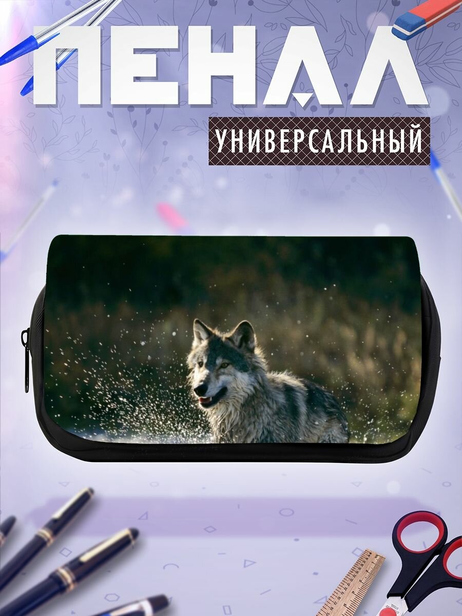 Школьный пенал живая природа волчьей собаки сарлоса