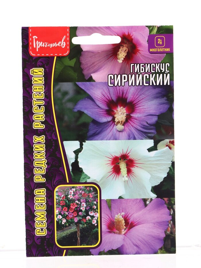 Семена цветов Гибискус Сирийский 7 шт. 12.29 г. 10967273